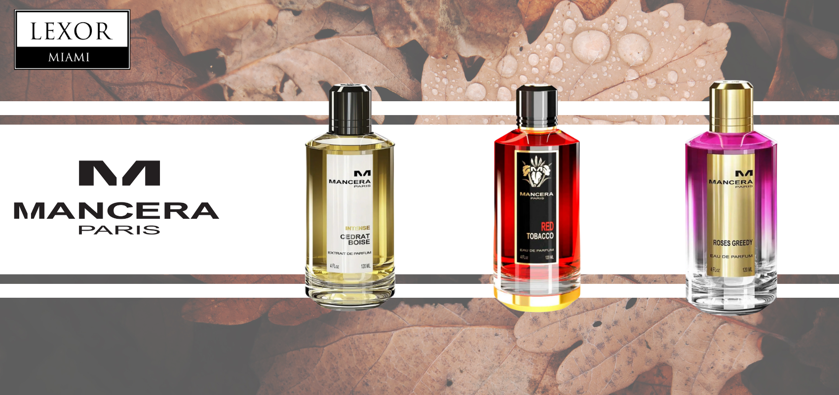 Experience Luxury: Seasonal Top Picks from the Mancera Perfume Collect ...