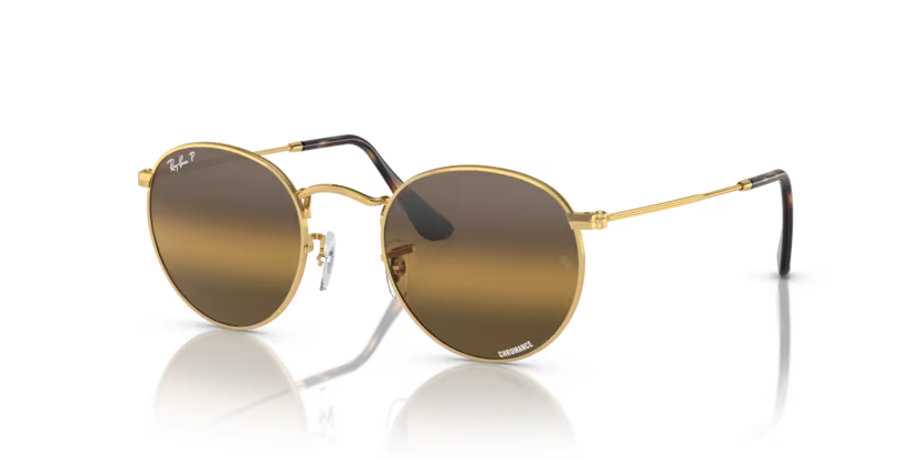 Ray-Ban Sunglasses – Lexor Miami